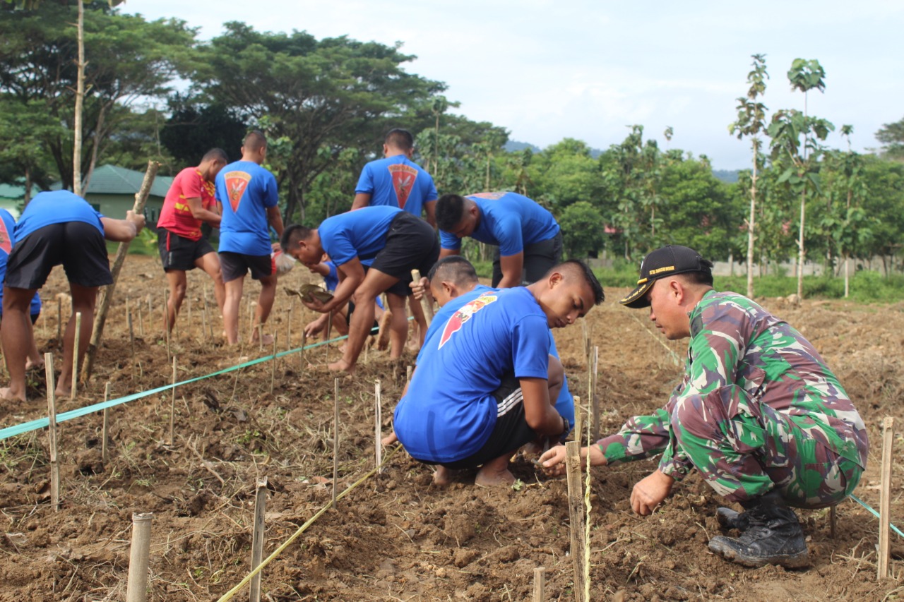 Miliki Nilai Strategis Yonif 725/WRG Kembangkan Budidaya Tanaman Porang ... Miliki Nilai Strategis Yonif 725/WRG Kembangkan Budidaya Tanaman Porang ...